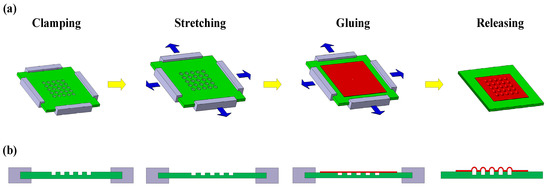 Curved Film Microstructure Arrays Fabricated via Mechanical Stretching