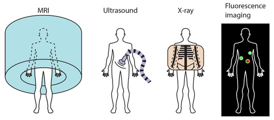 Evolving from Laboratory Toys towards Life-Savers: Small-Scale Magnetic ...