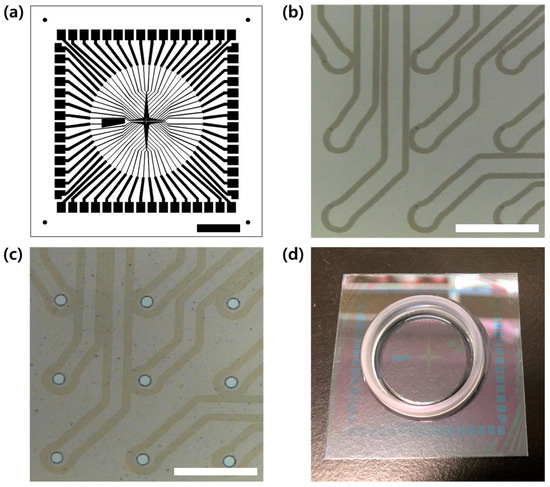 Fabrication of Planar Microelectrode Array Using Laser-Patterned ITO ...