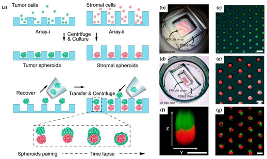 Microfluidic Systems for Cancer Diagnosis and Applications