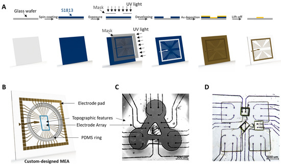 Cardiac Cell Patterning on Customized Microelectrode Arrays for ...