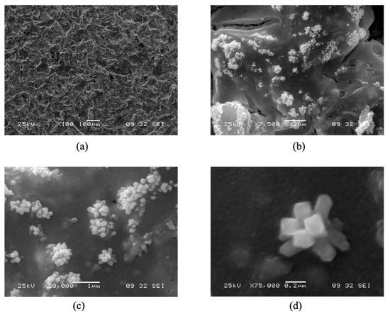 RuO2 Nanorods as an Electrocatalyst for Proton Exchange Membrane Water ...