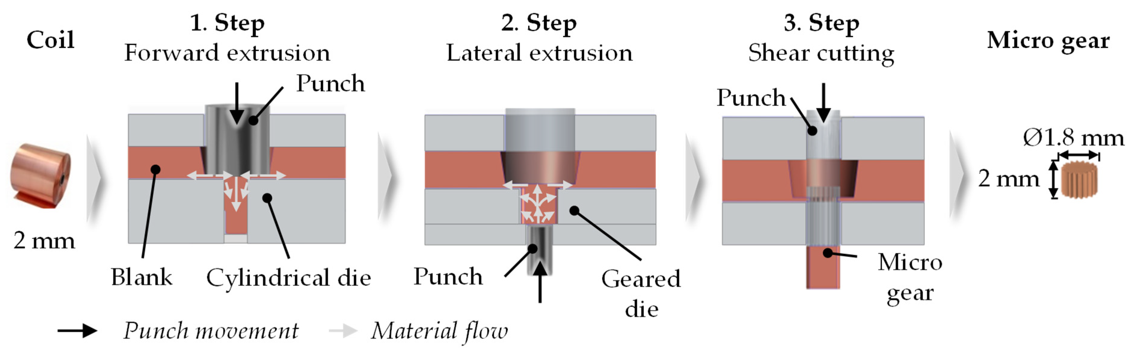 Forming of Components with Microgearings from Coil Material—Numerical ...