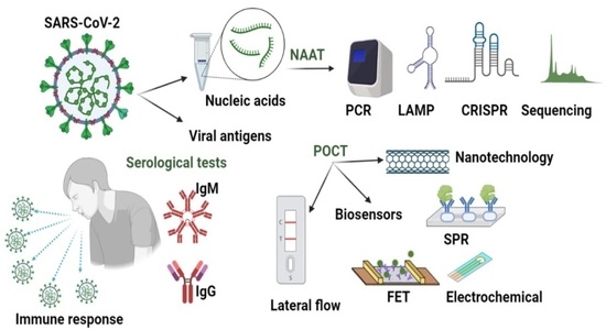 Micromachines | Free Full-Text | Point-of-Care Testing—The Key in the ...