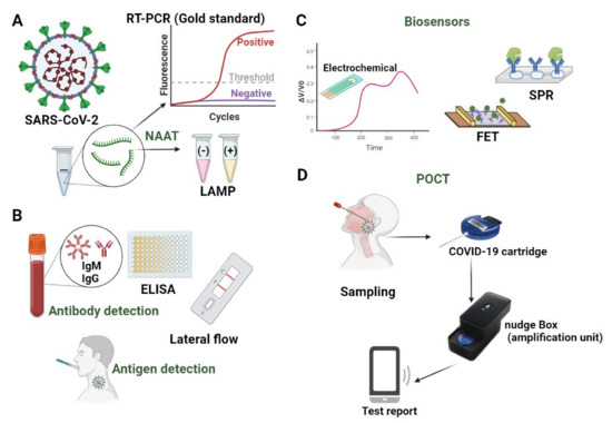 Micromachines | Free Full-Text | Point-of-Care Testing—The Key in the ...