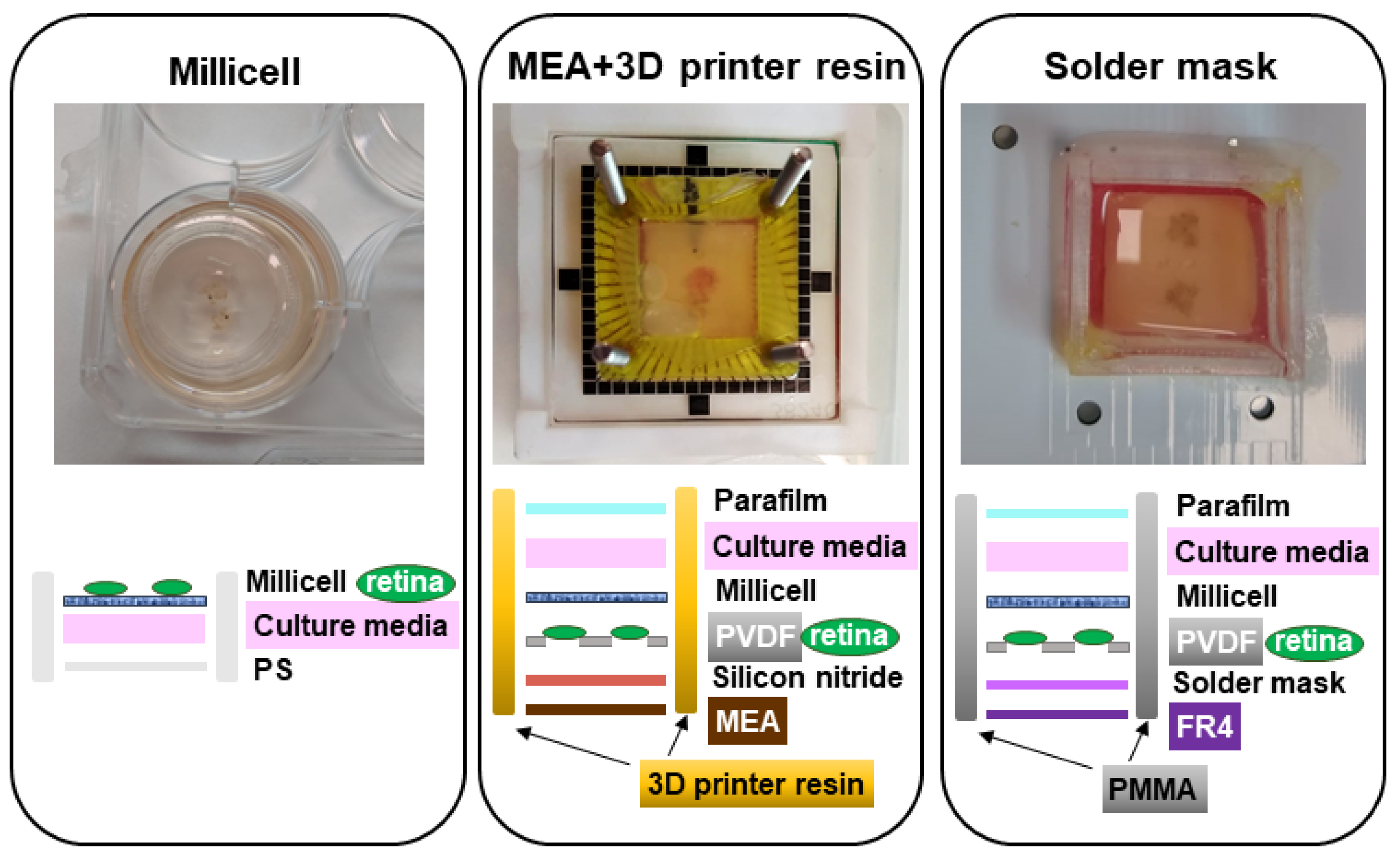 Biocompatibility Study of a Commercial Printed Circuit Board for ...