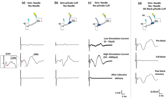 A Hydrogel-Based Microfluidic Nerve Cuff for Neuromodulation of ...