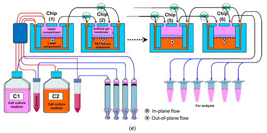 Design and Fabrication of Low-Cost Microfluidic Chips and Microfluidic ...