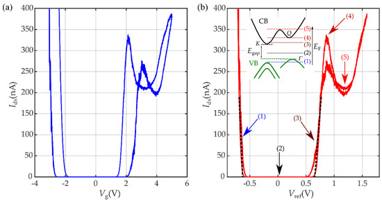 Ionic-Liquid Gating in Two-Dimensional TMDs: The Operation Principles ...
