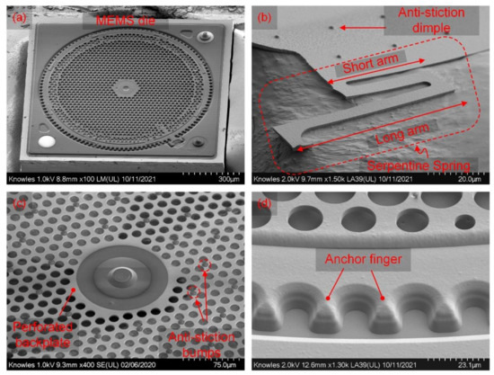 A Novel MEMS Capacitive Microphone with Semiconstrained Diaphragm ...