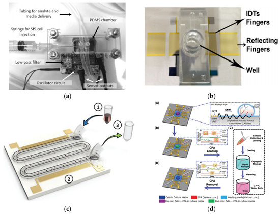 Current Development in Interdigital Transducer (IDT) Surface Acoustic ...