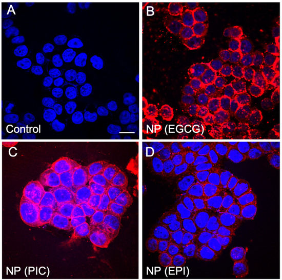 Transforming Tea Catechins into Potent Anticancer Compound: Analysis of ...