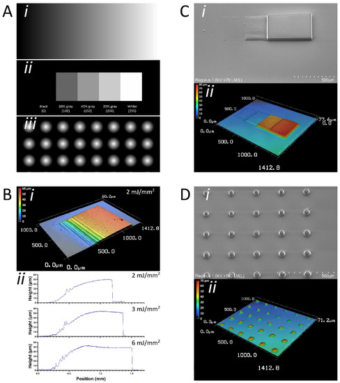 Rapid Prototyping of Organ-on-a-Chip Devices Using Maskless ...