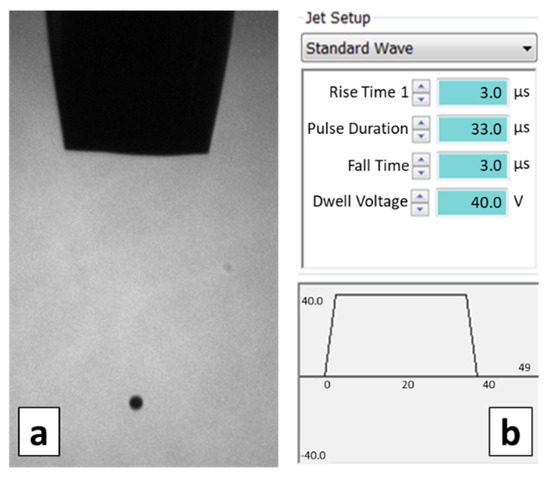 Assessing the Relationships between Interdigital Geometry Quality and ...
