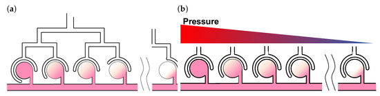 Generation of Concentration Gradients by a Outer-Circumference-Driven ...