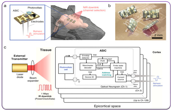 New Era of Electroceuticals: Clinically Driven Smart Implantable ...