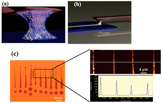Scanning Probe Lithography: State-of-the-Art and Future Perspectives