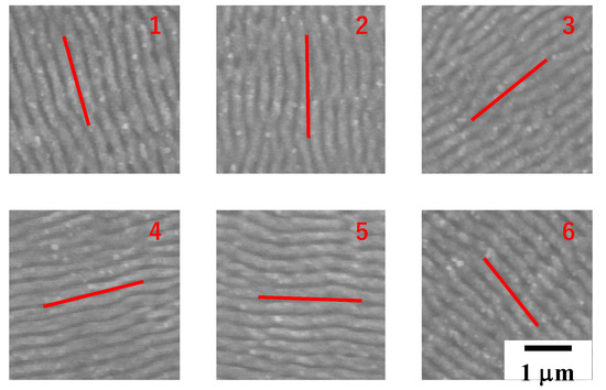 Micromachines | Free Full-Text | Micro-/Nano-Texturing onto Plasma ...