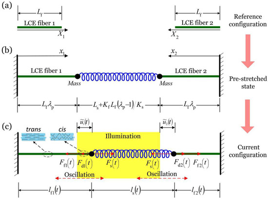 Self-Sustained Collective Motion of Two Joint Liquid Crystal Elastomer Spring Oscillator Powered ...