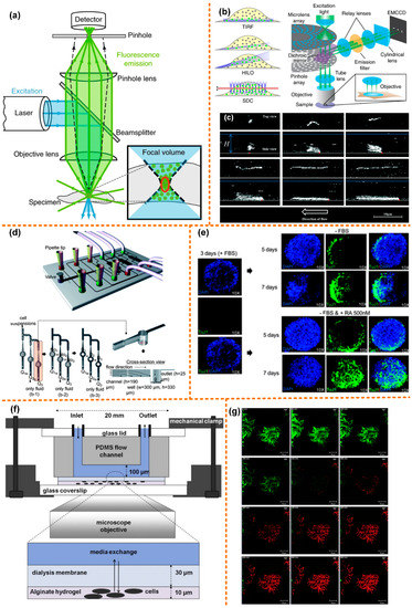 A Review of Optical Imaging Technologies for Microfluidics