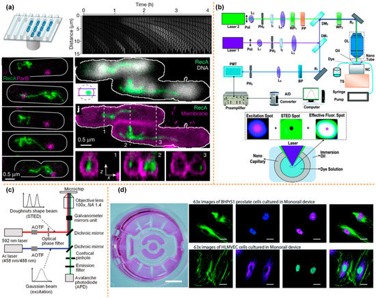 A Review of Optical Imaging Technologies for Microfluidics