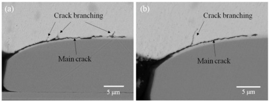 Characteristics of Cracking Failure in Microbump Joints for 3D Chip-on ...