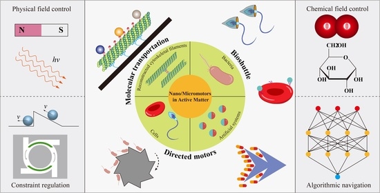 Micromachines | Free Full-Text | Nano/Micromotors in Active Matter