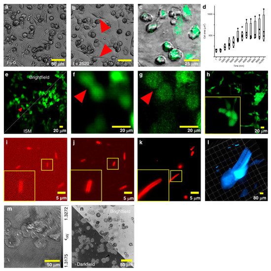 Microscopic Imaging Methods for Organ-on-a-Chip Platforms