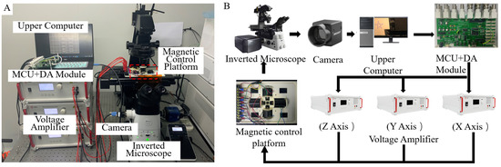 Micromachines | Free Full-Text | Vision-Based Automated Control of ...