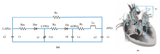 Control Strategy Design of a Microblood Pump Based on Heart-Rate Feedback