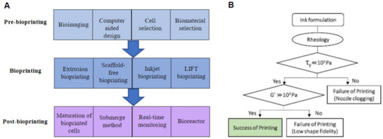 Optimized 3D Bioprinting Technology Based on Machine Learning: A Review ...