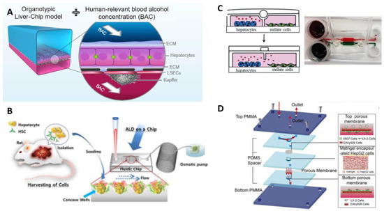 Microfluidic Organ-on-a-Chip Devices for Liver Disease Modeling In Vitro