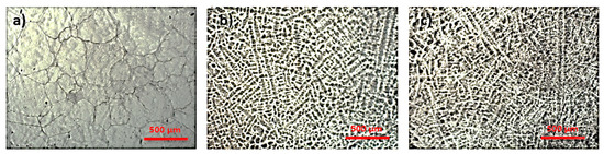 Mechanical Characterization and In Vitro Assay of Biocompatible ...
