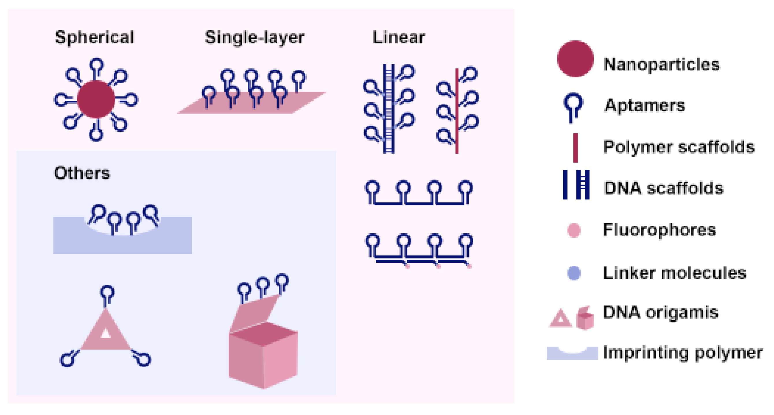 Multivalent Aptamer Approach: Designs, Strategies, and Applications
