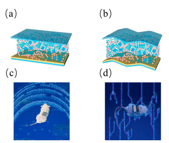 Accelerated Skin Wound Healing Using Flexible Photovoltaic-Bioelectrode ...