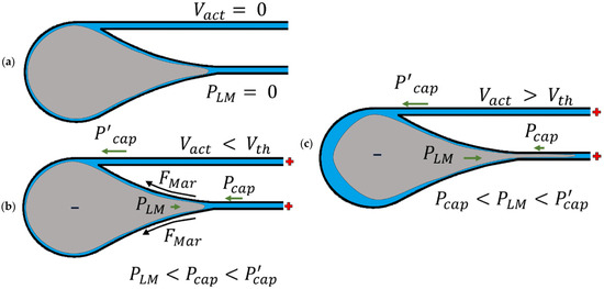 Electrocapillary Actuation of Liquid Metal in Microchannels