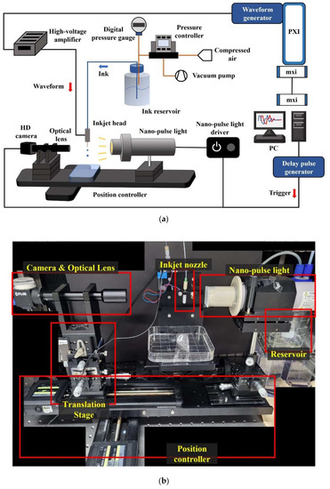 The Effect of Ink Supply Pressure on Piezoelectric Inkjet
