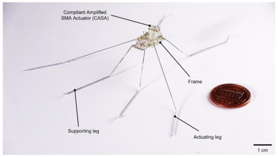 Design of a Biologically Inspired Water-Walking Robot Powered by ...