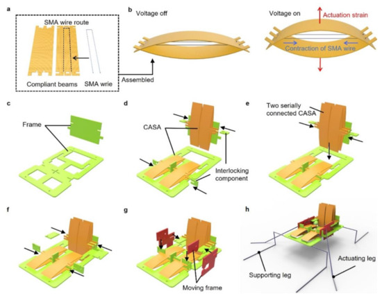 Design of a Biologically Inspired Water-Walking Robot Powered by ...