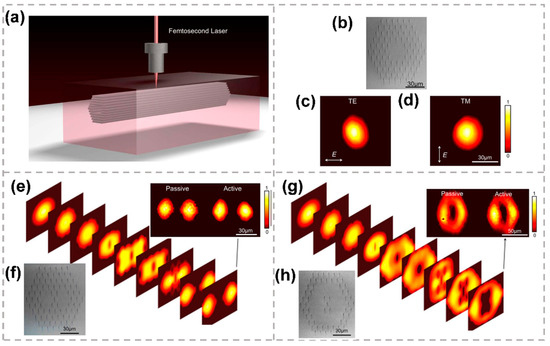 Femtosecond Laser-Fabricated Photonic Chips for Optical Communications ...
