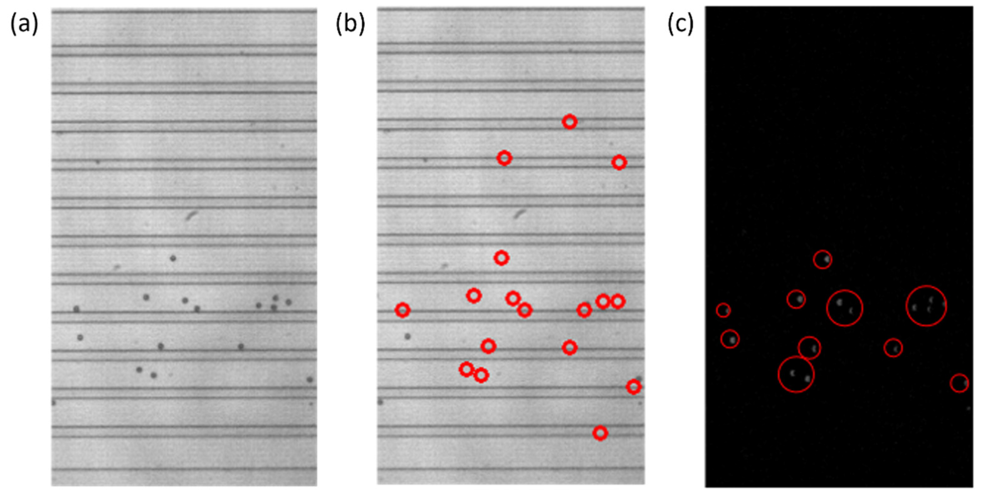 Deterministic Lateral Displacement (DLD) Analysis Tool Utilizing Machine Learning towards High ...