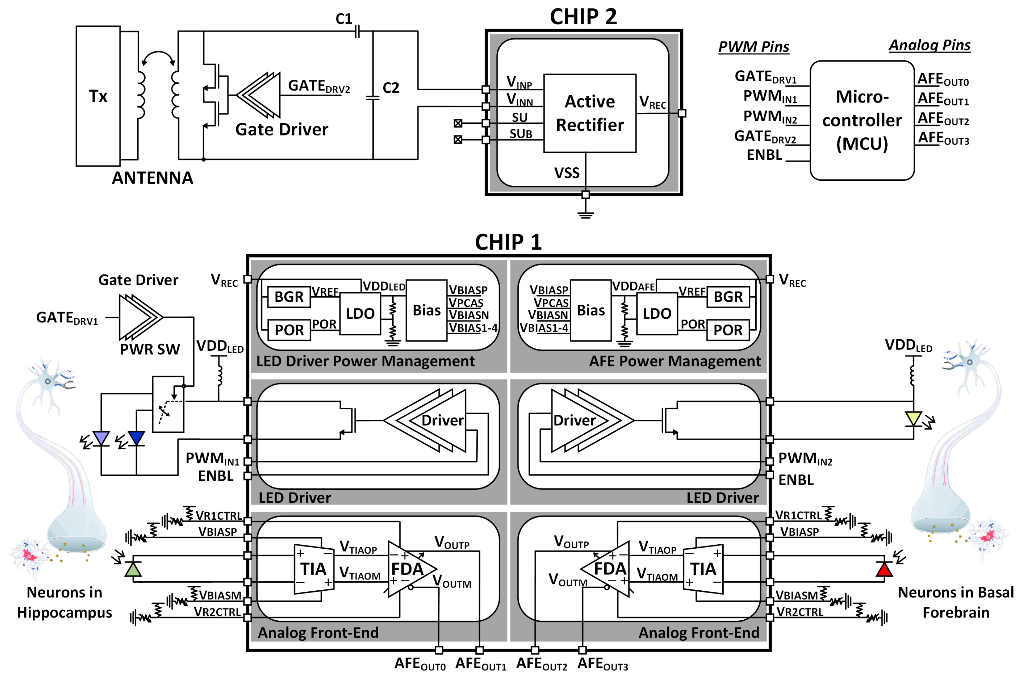 Wireless Photometry Prototype for Tri-Color Excitation and Multi-Region ...