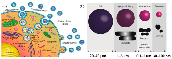 Microfluidic Platforms for the Isolation and Detection of Exosomes: A ...