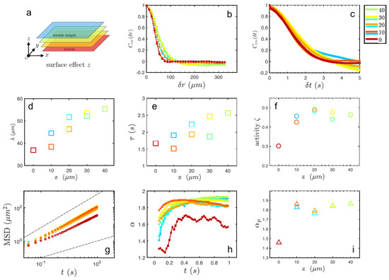 Activity-Induced Enhancement of Superdiffusive Transport in Bacterial ...