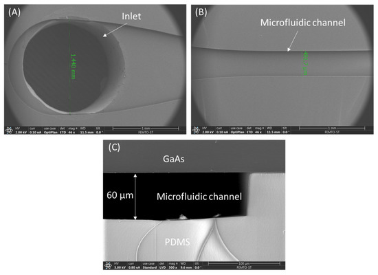 Microfluidics for High Pressure: Integration on GaAs Acoustic Biosensors with a Leakage-Free ...
