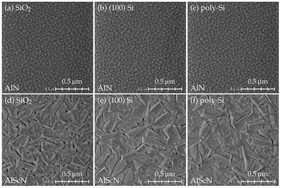 Growth of Highly c-Axis Oriented AlScN Films on Commercial Substrates