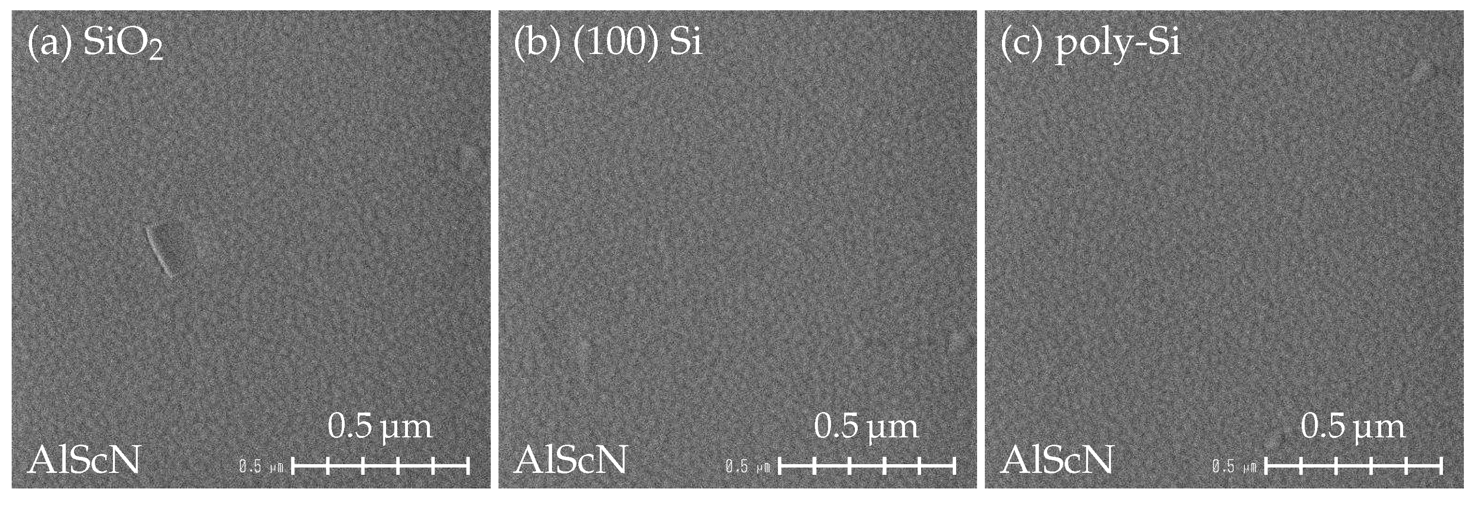 Growth of Highly c-Axis Oriented AlScN Films on Commercial Substrates