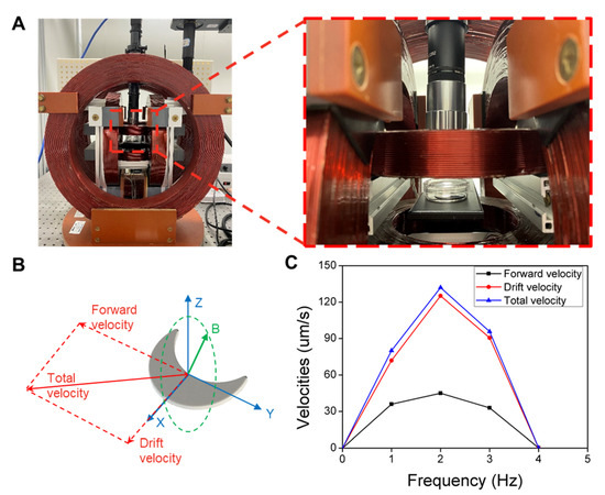 Stop-Flow Lithography for the Continuous Production of Degradable ...