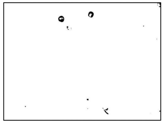 Accurate and Automatic Extraction of Cell Self-Rotation Speed in an ODEP Field Using an Area ...