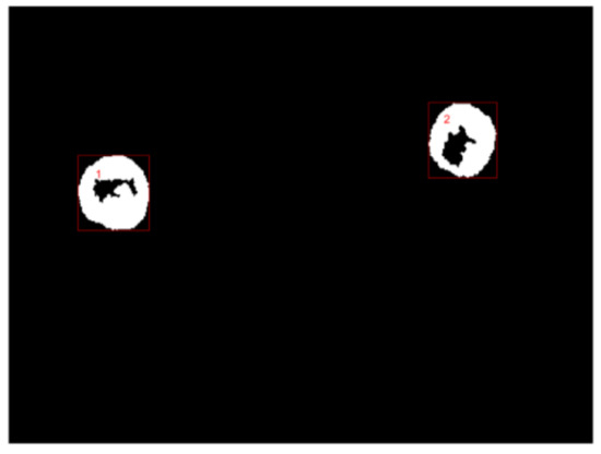 Accurate and Automatic Extraction of Cell Self-Rotation Speed in an ODEP Field Using an Area ...